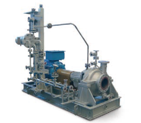 OH – Toronto Optimum Pumps