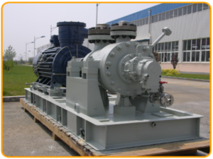 BB5 – Toronto Optimum Pumps