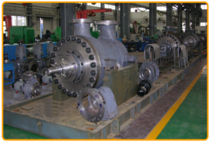 BB5 – Toronto Optimum Pumps